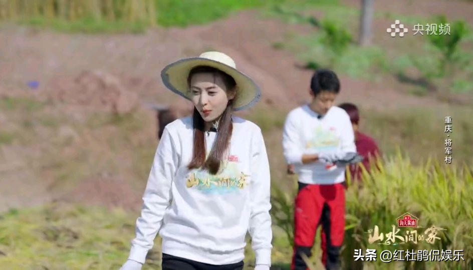 Two episodes of "Home Between Mountains and Rivers" compare the gap between Wang Jianing and ...