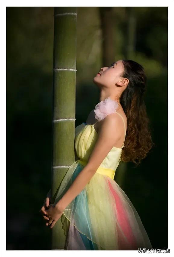 Hidden Poetry / Elegant Temperament - iMedia