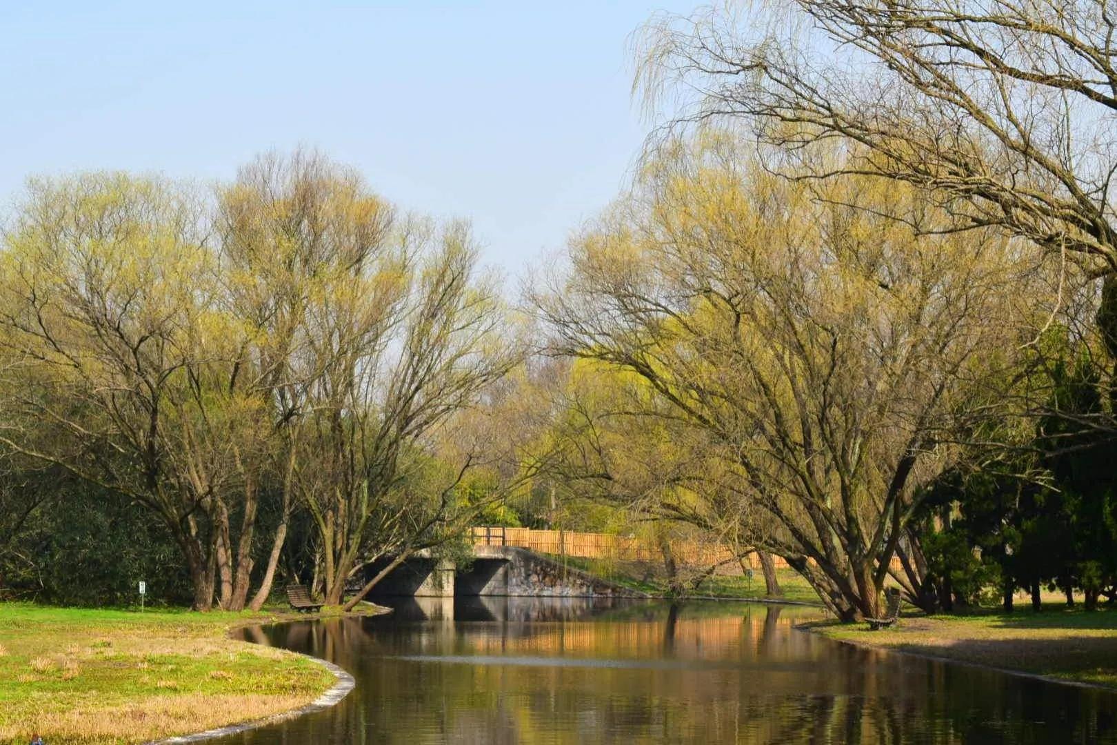 Spring in the South and the North - iMedia