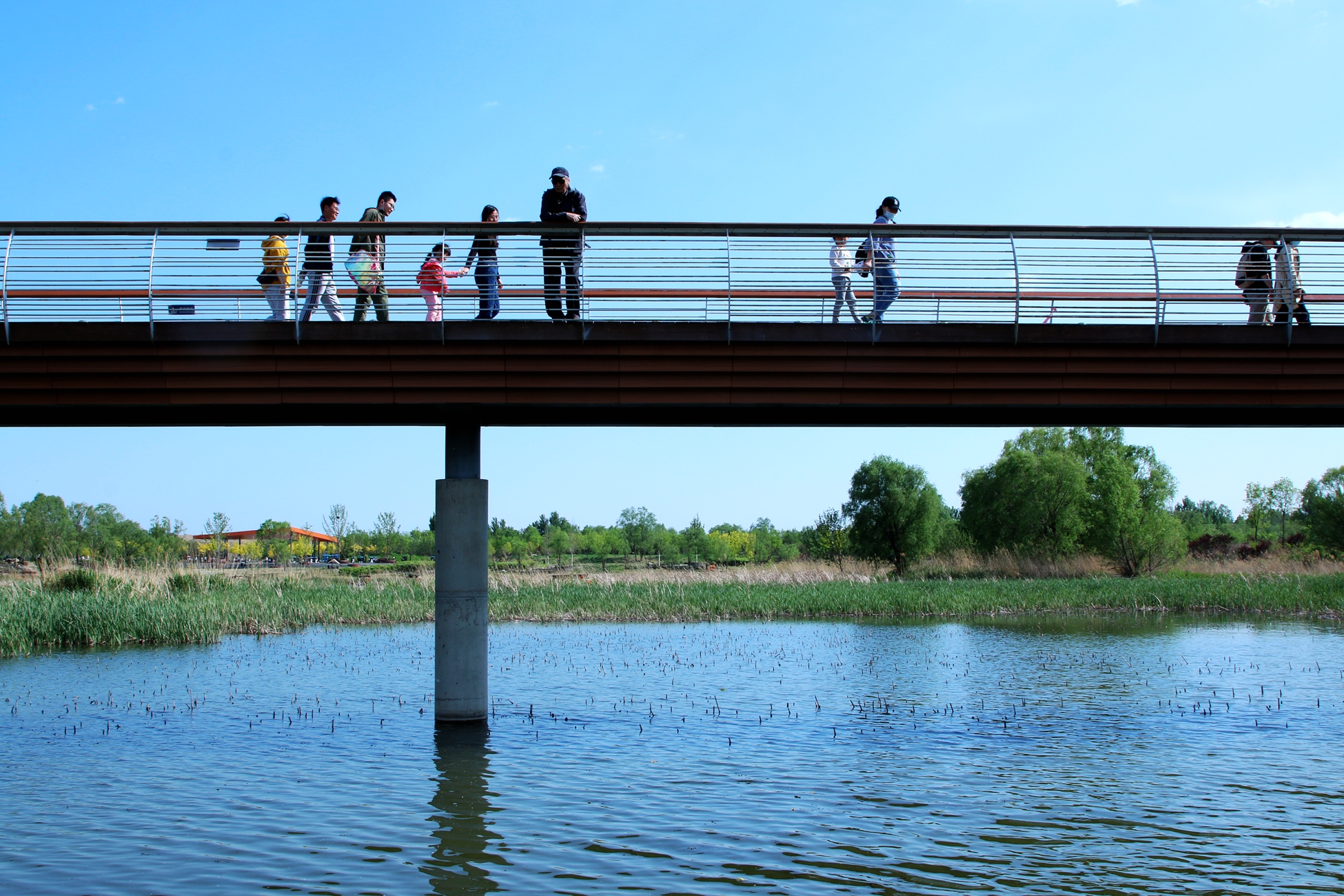 Tunaruolan and Wenyu River are worthy of being the largest "green lung ...