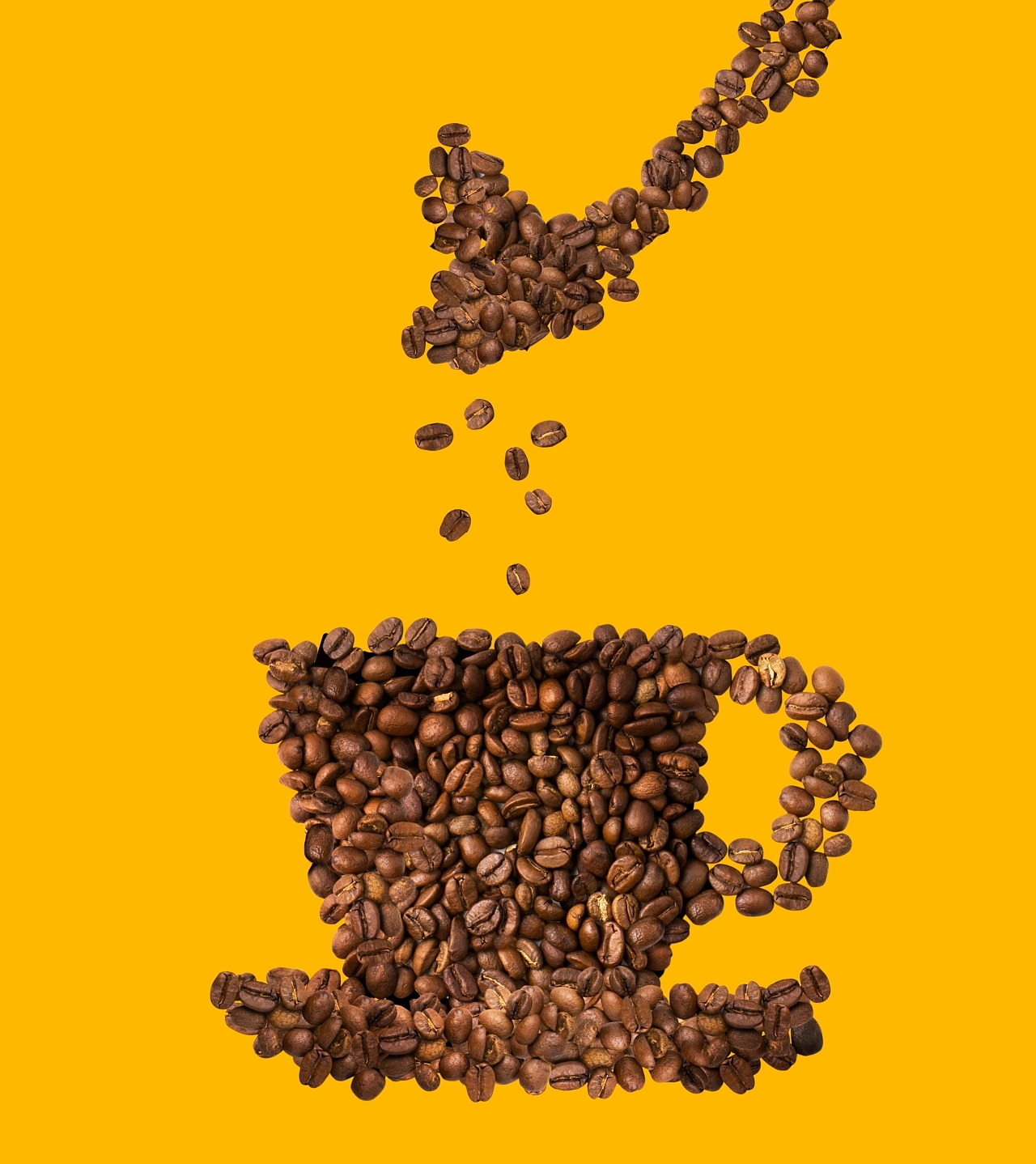 Photobook‖Interesting Coffee Beans - iMedia
