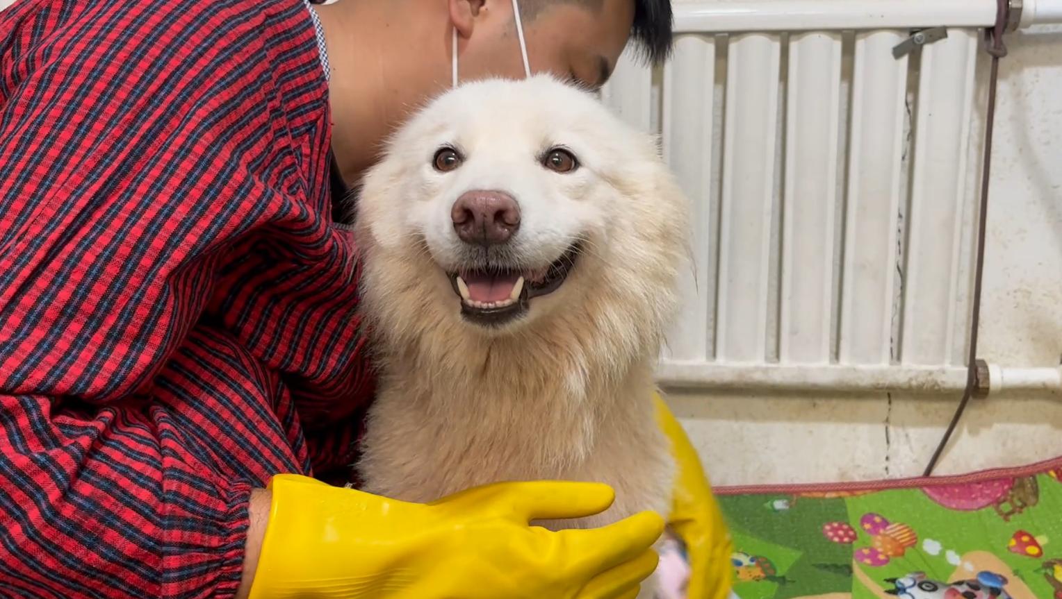 Bathing the loyal dog Satsuma who was rescued from the ruins, the snow ...