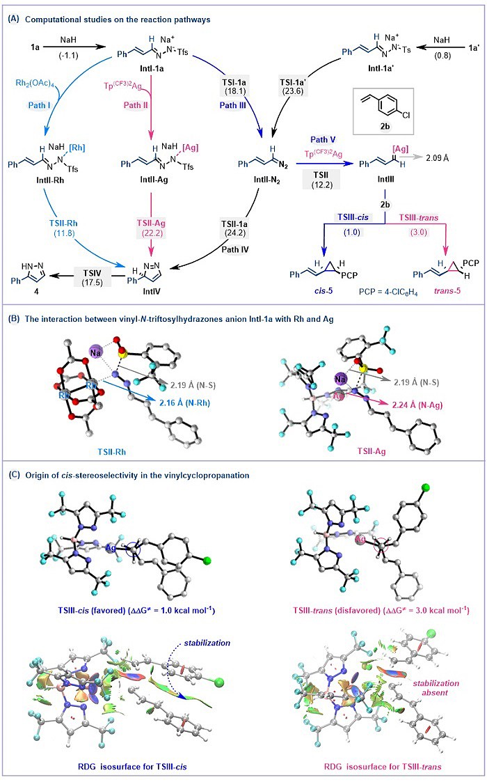 Alkenyl silver carbene derived from sulfonyl hydrazone is simple and ...