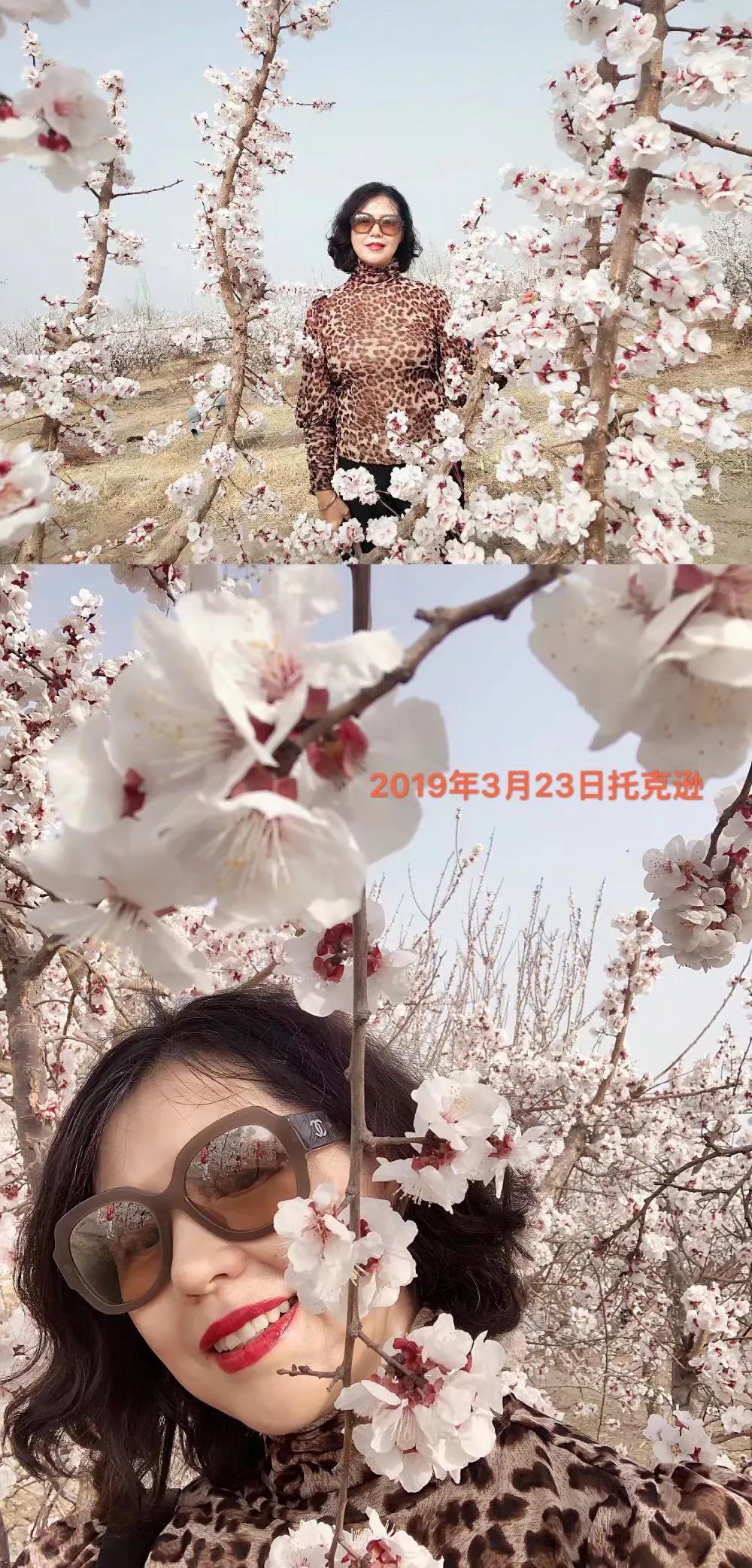 Xinjiang apricot blossoms welcome spring, a hundred flowers bloom - iNEWS