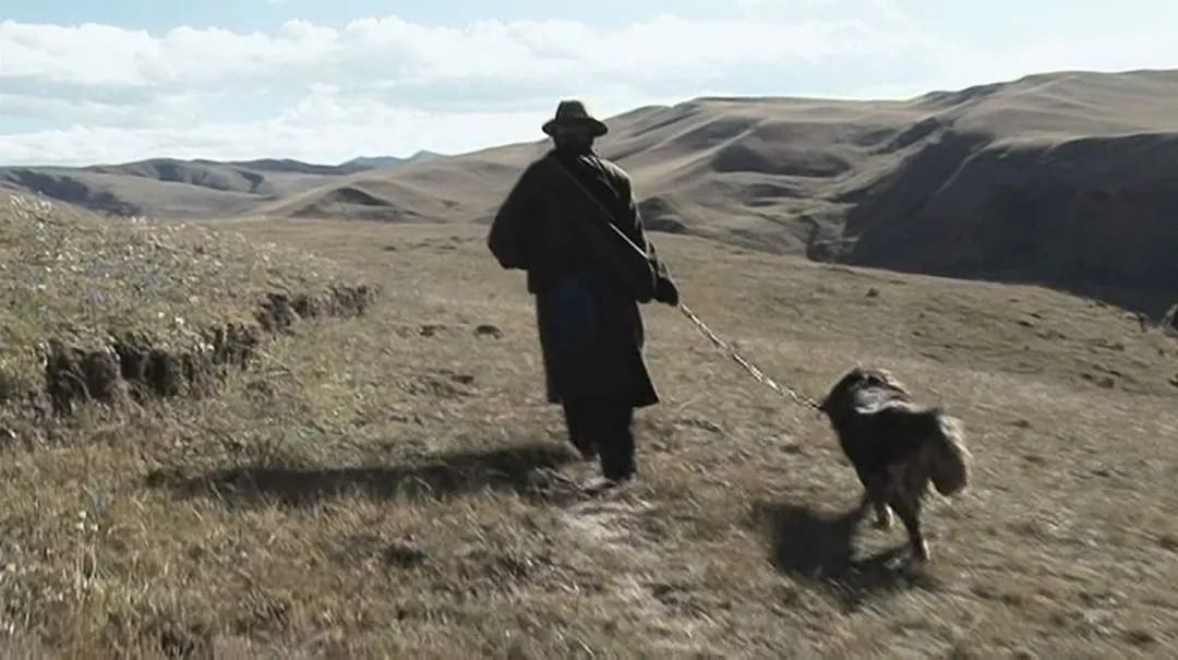 Wanma Caidan, the story is only half told. For death, he has given many ...