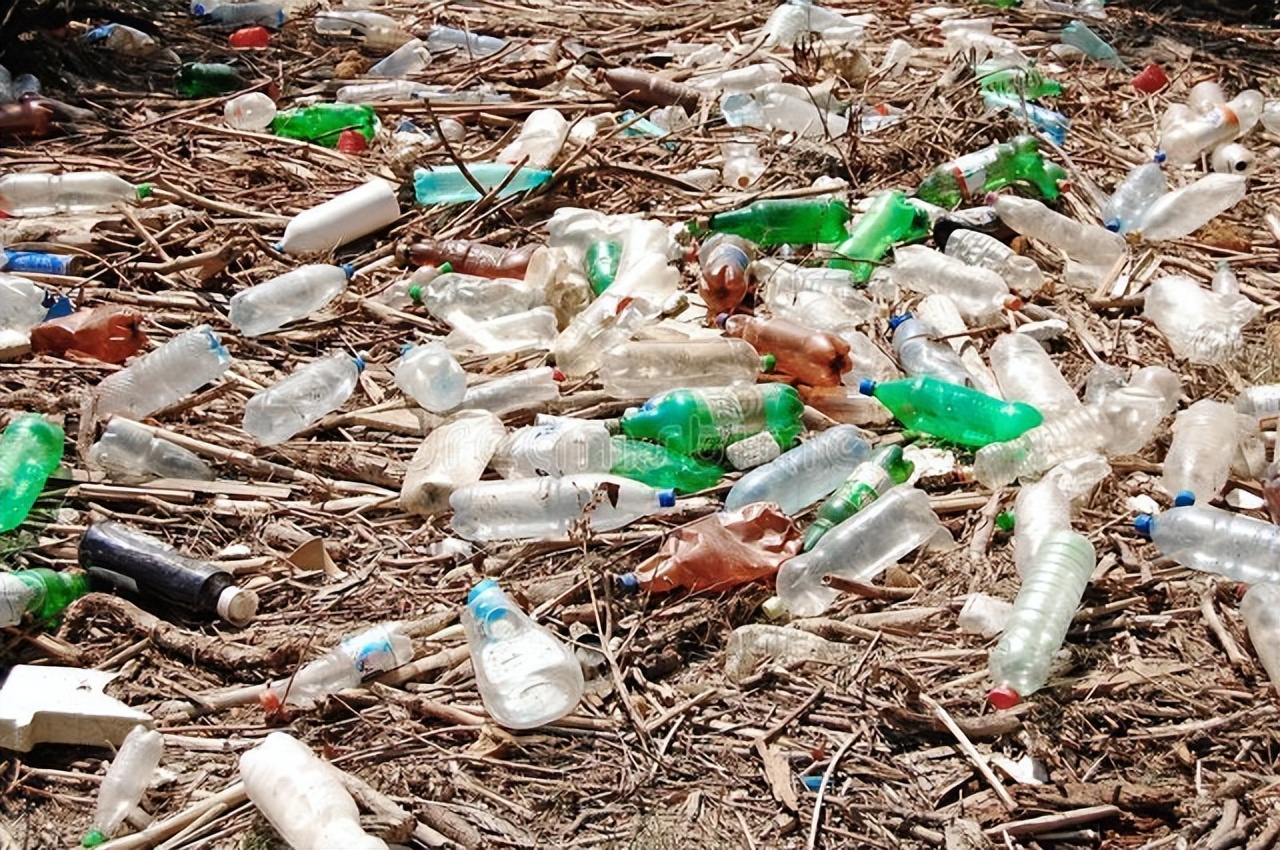 Microplastics are present in our bodies.How much do they hurt us? - iNEWS