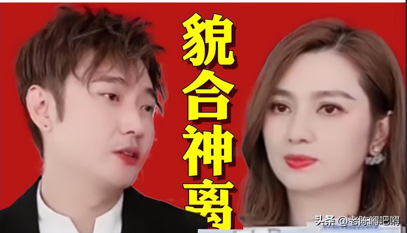 Zhang Danfeng and Hong Xin's divorce adds another solid hammer! Empty the other party's ...