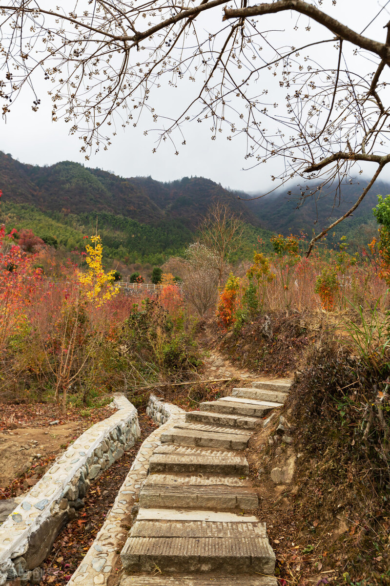 Bai Lang's Hometown Tour - iNEWS