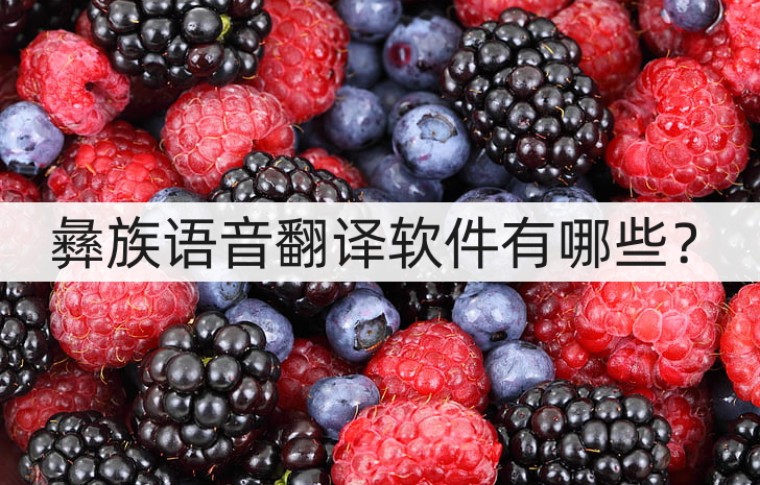 What are the Yi speech translation software? try these software - iNEWS