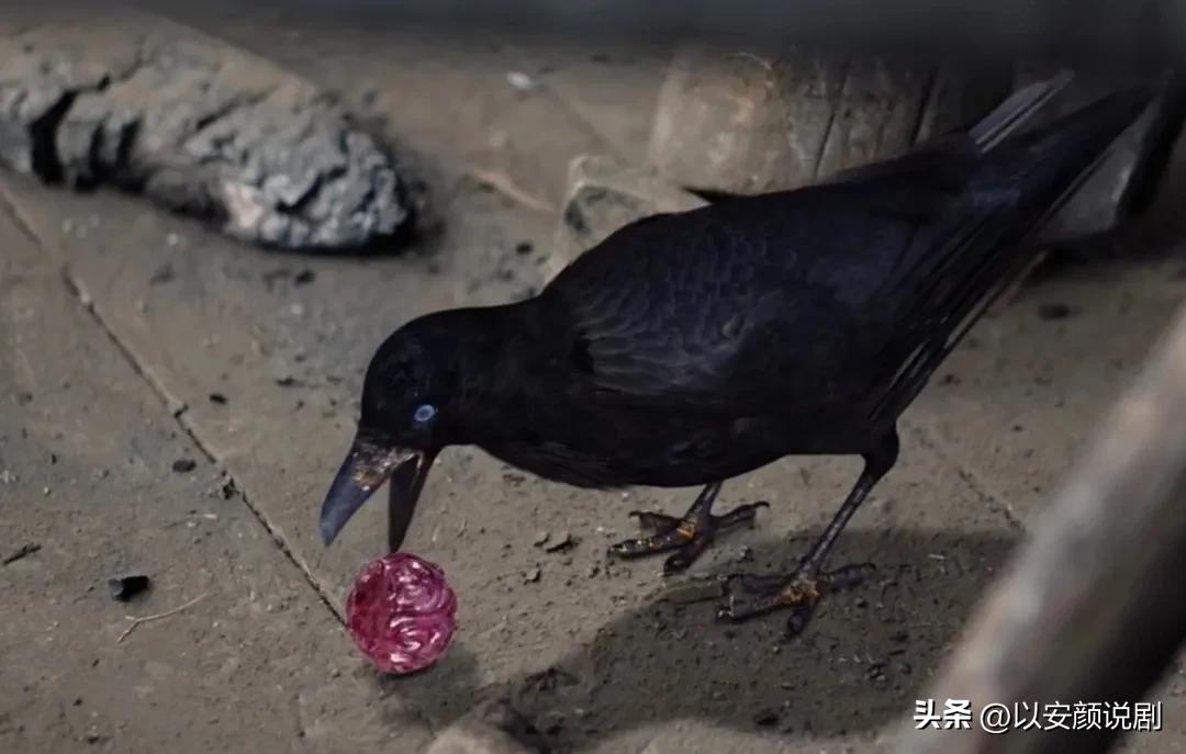 Till The End Of The Moon: Only after understanding the crow taking away ...