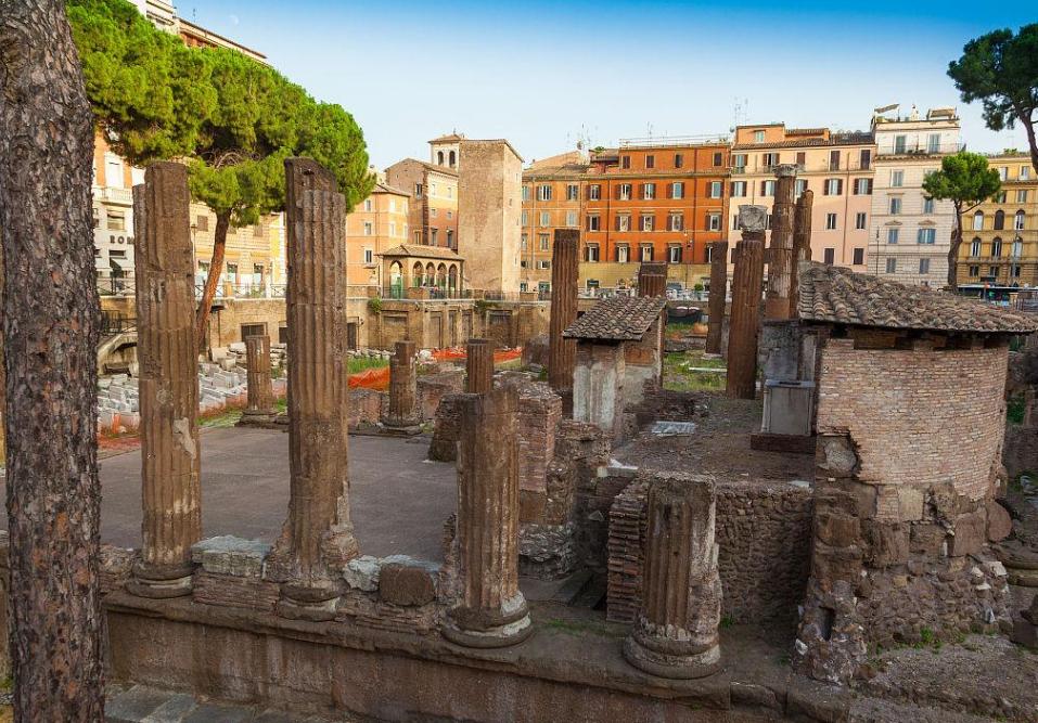 Archeology is the study of material culture, especially Roman ...