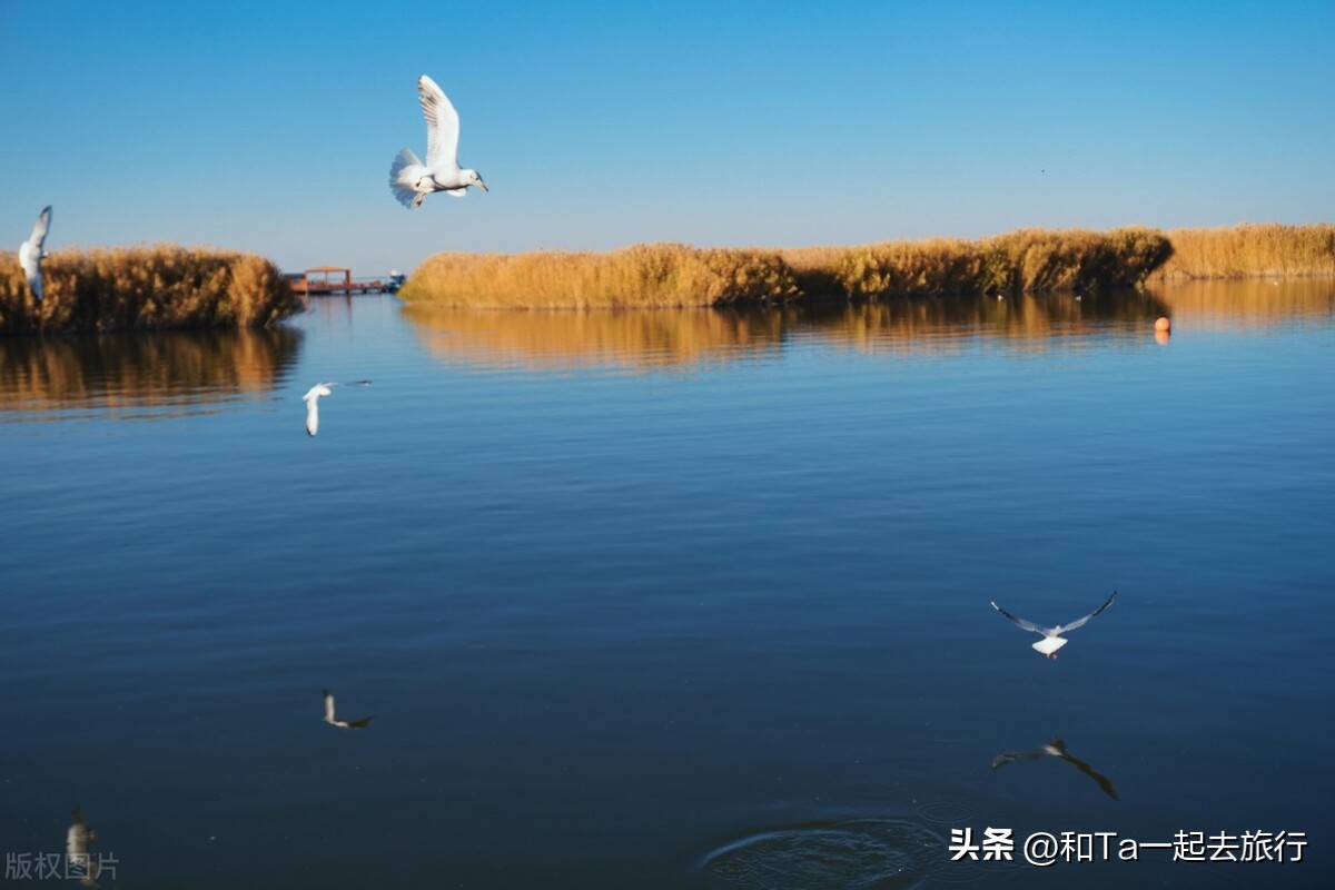 Bayannur City, Inner Mongolia, where have you been? Where else do you ...