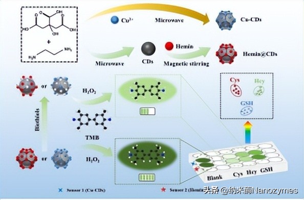 Nanozyme Colorimetric Array Sensor For Biothiol Detection And Disease Diagnosis Imedia