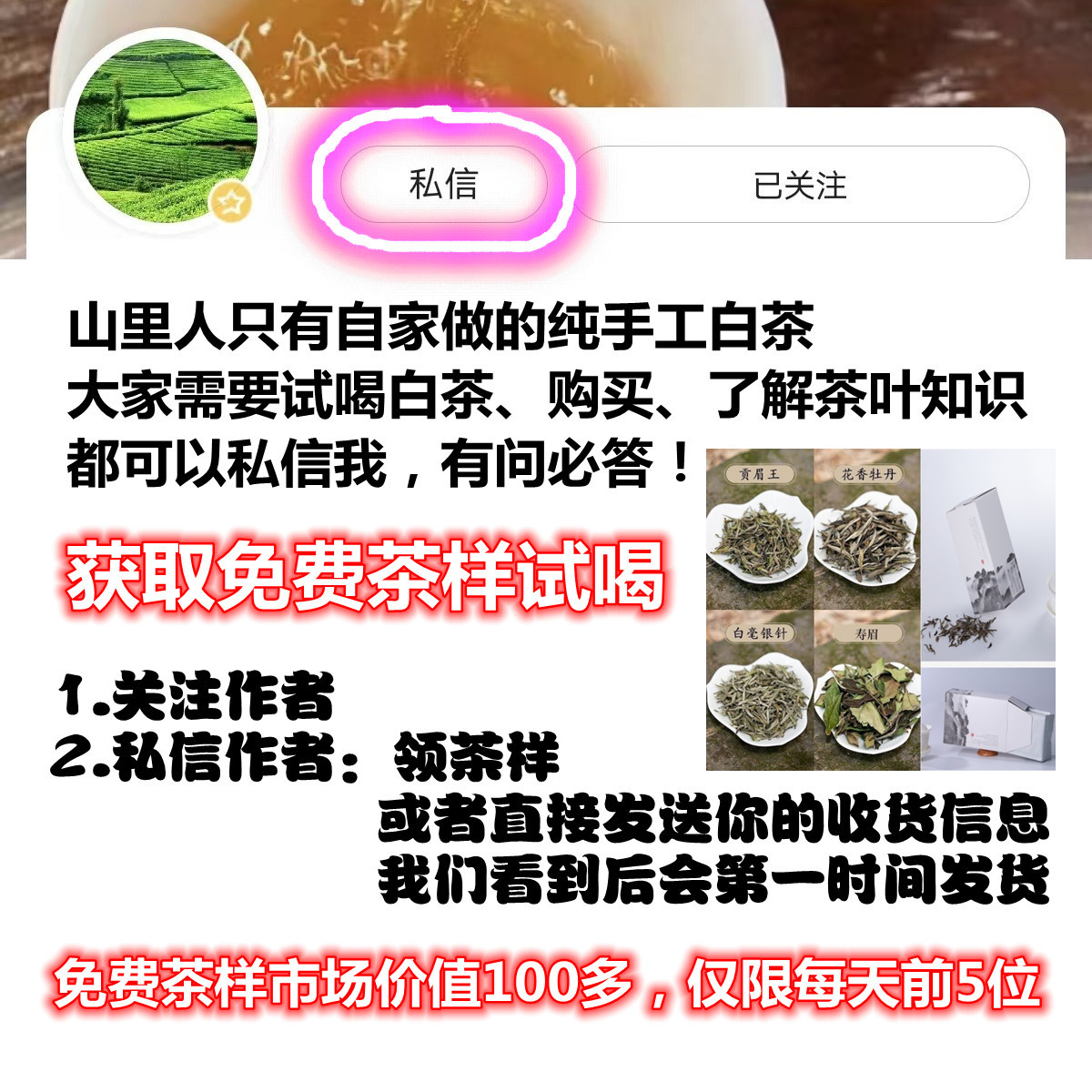 The difference between old white tea and new white tea - iNEWS