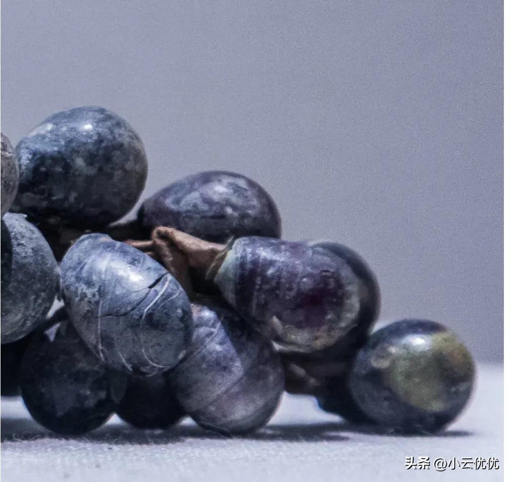 A bunch of grapes from the Northern Song Dynasty - iNEWS
