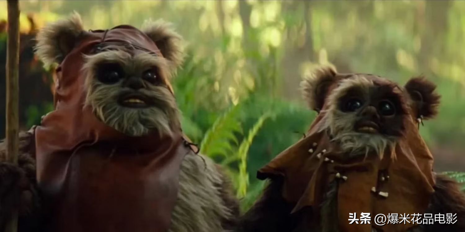 The 12 Cutest Creatures in the Star Wars Universe - iNEWS