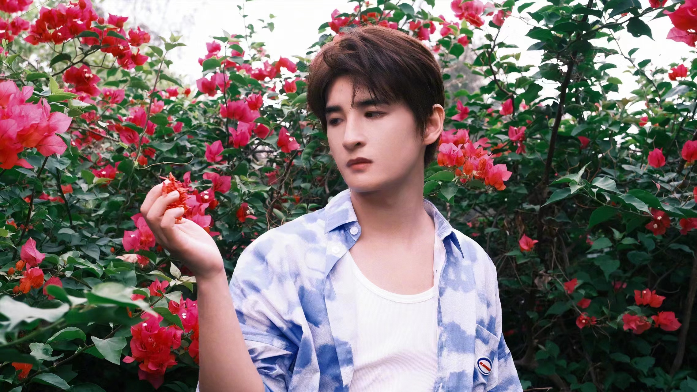 Cheng Yi, Zeng Shunxi, Lianhualou officially announced the OST lineup ...