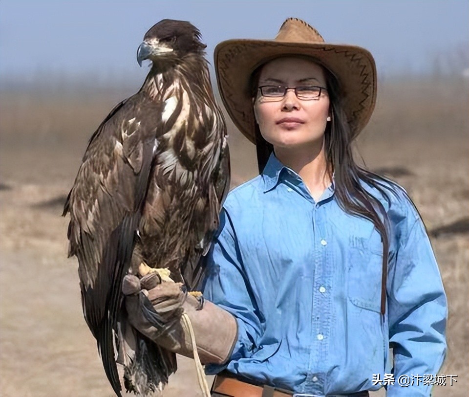 Wang Yunxiao: On Falconry Culture - iNEWS