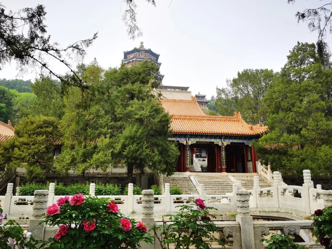 His Royal Highness Paiyun looks at the peony - iNEWS