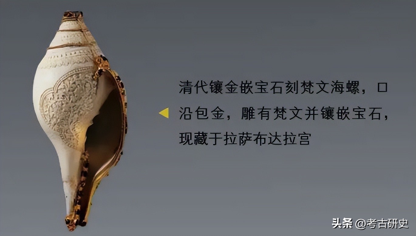 Chen Chen: Conch Culture in Ancient China - iNEWS