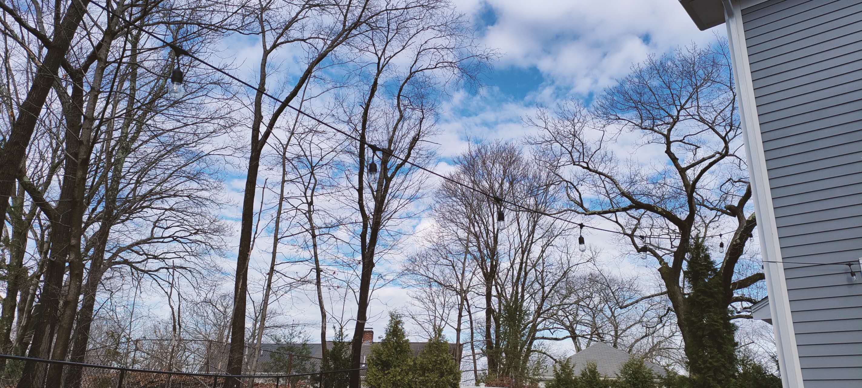 Seven Wonders of Spring in Boston - iMedia