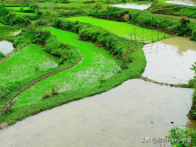 The Elemental Key of Creation—On the First Moon and the Earth - iNEWS