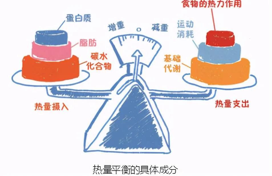 Why do middle-aged men and women seldom maintain a good figure? What ...