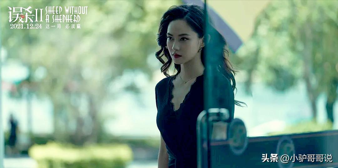 Watching "Manslaughter 2" starring Xiao Yang and Ren Dahua, but was ...