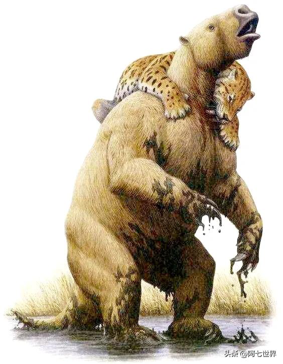 Prehistoric heavyweight boxer ~ giant ground sloth, standing up to five ...