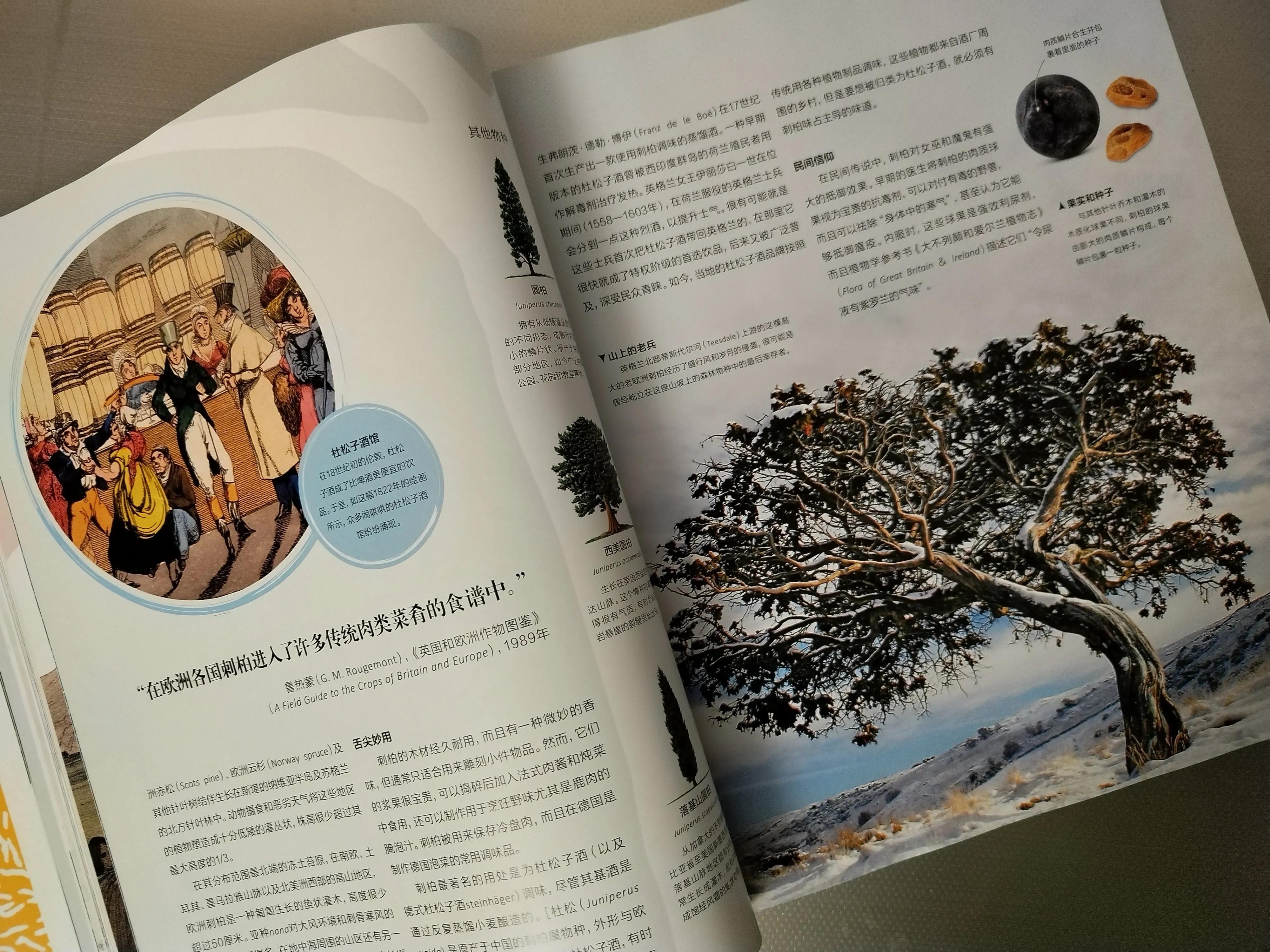 DK Tree Encyclopedia: Approaching the mystery of the green giant ...