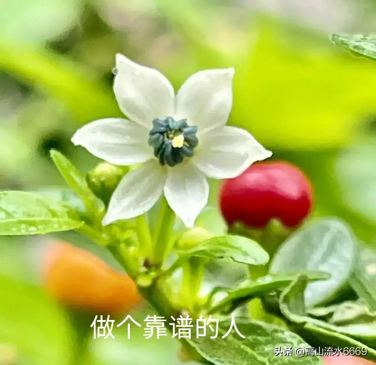 In the age of excess intelligence, reliability is the greatest ...