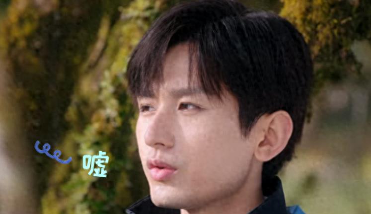 Paralyzed face, awkward acting! Five "beautiful men" in the ...