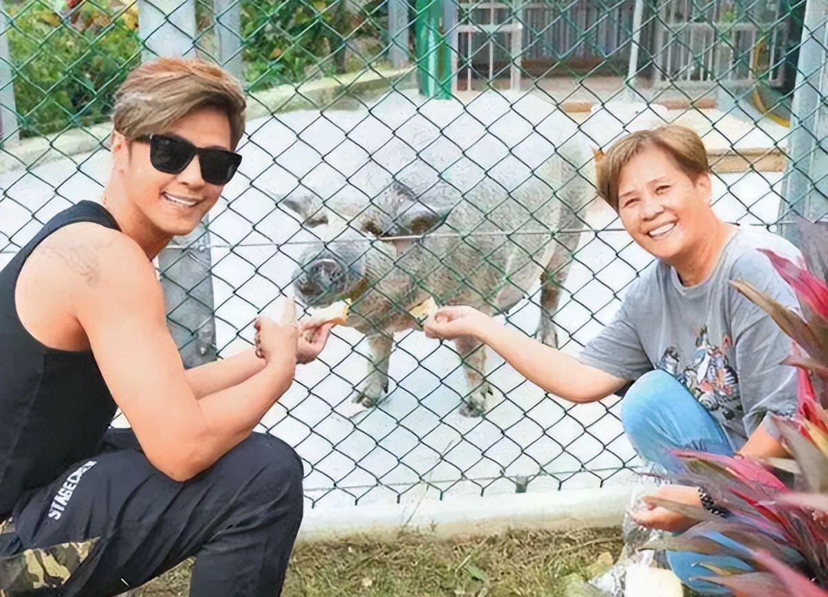 Which celebrity pet is stronger: Zhang Xinyu raises lizards, Li ...