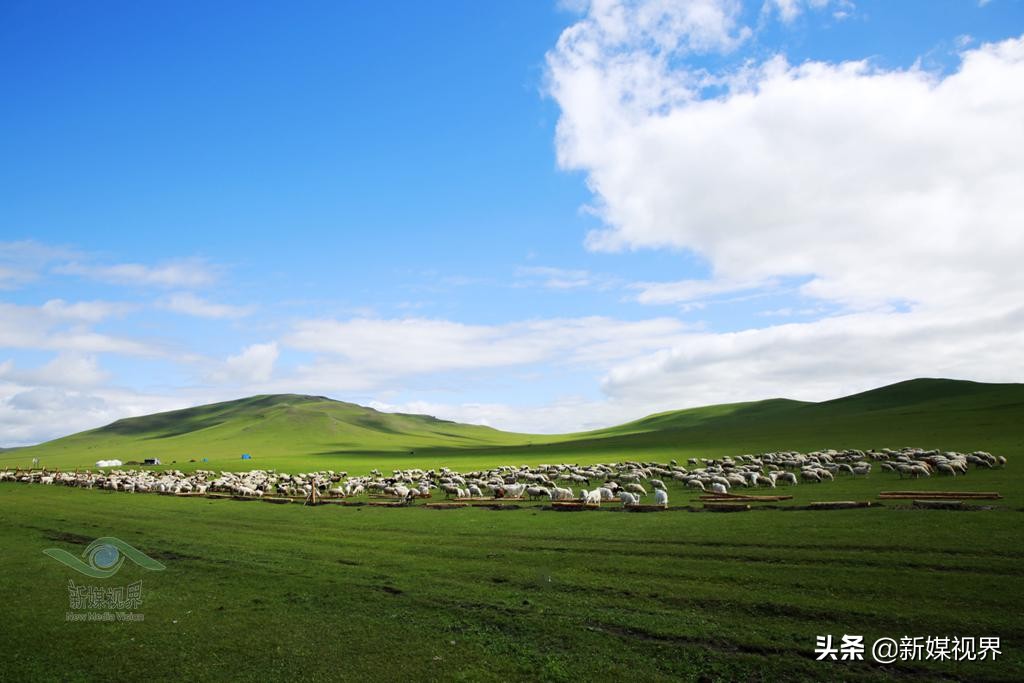 Origin of Horqin - iNEWS