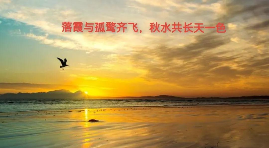 Meng Jiao's poems, apart from "The Wanderer's Song", do you know ...