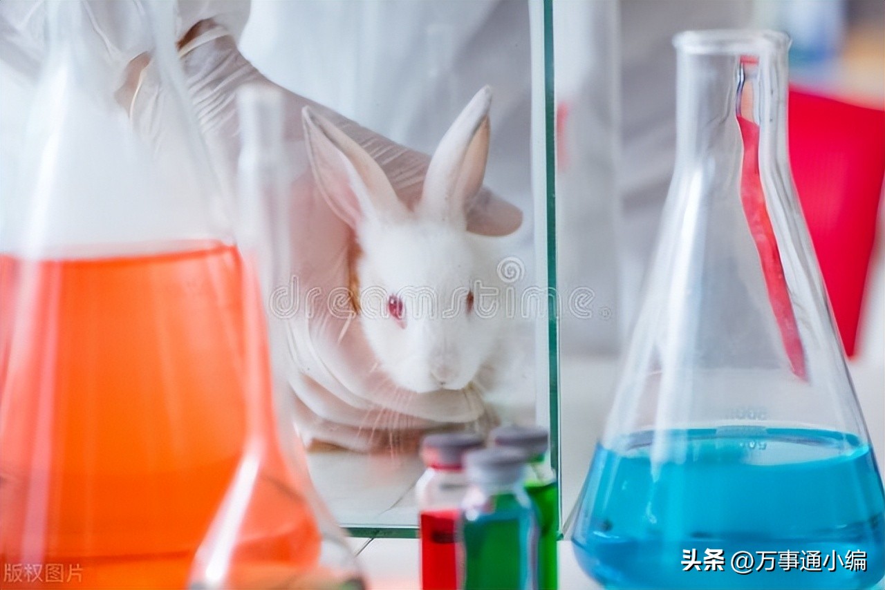 The rights and morals of laboratory animals: a balance between ...