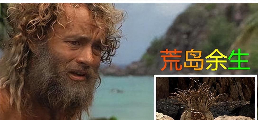Survival from desperate situations through the eyes of Robert Zemeckis ...