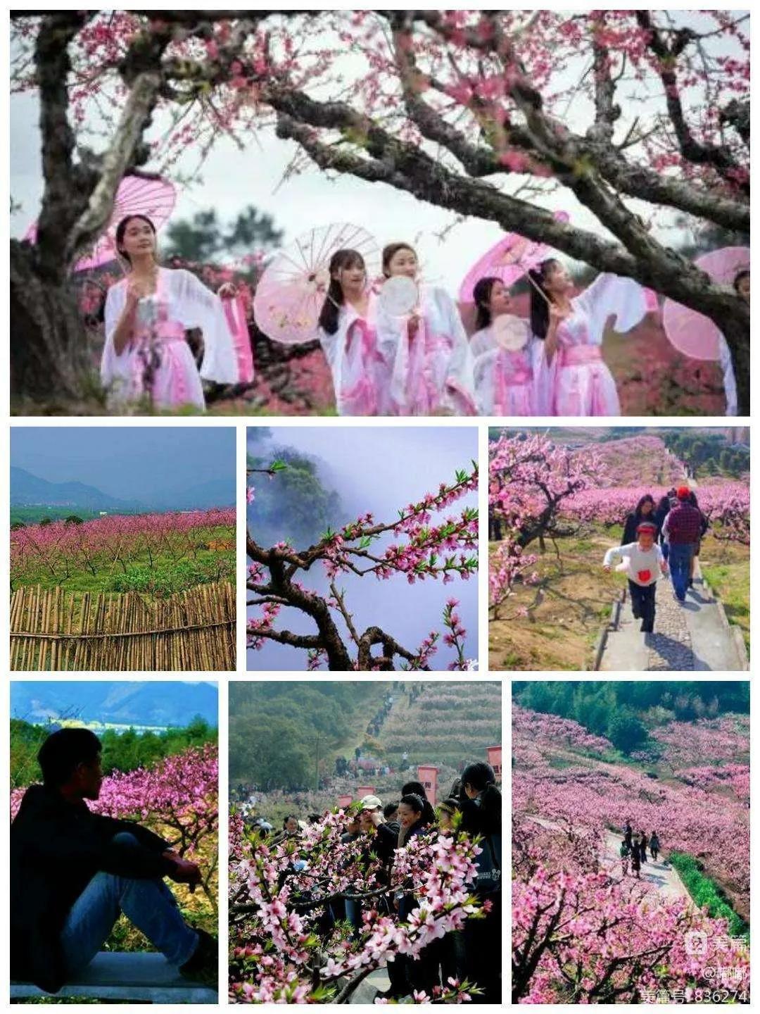 Fenghua Wangjiang Tower - iNEWS