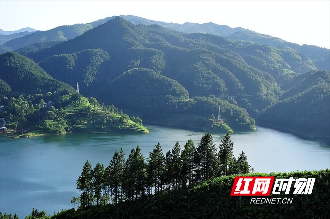 Long Hui, who was sung by the Divine Comedy, turned out to be so ...