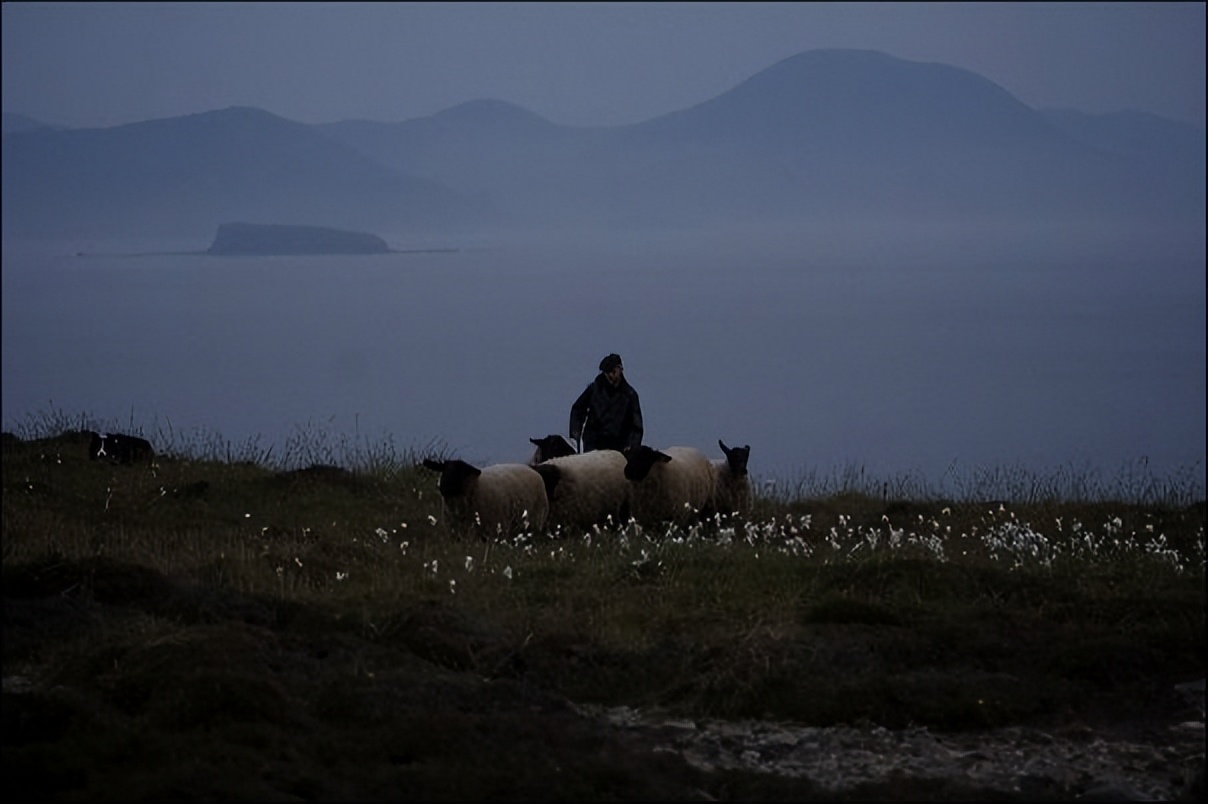 Douban 8.8! A healing film that doesn't lose to the Oscars! Embark on a ...