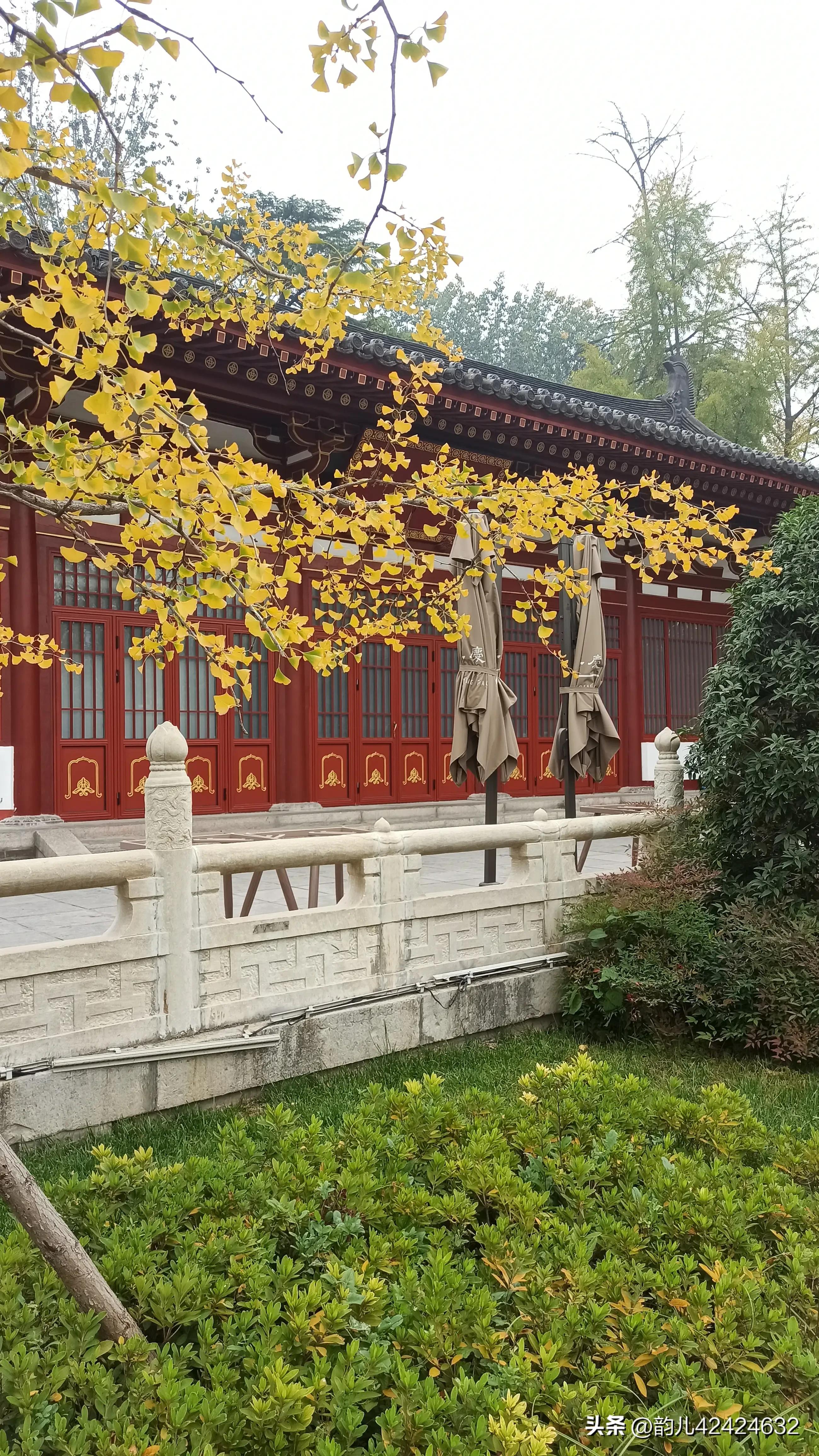 Colorful autumn leaves in Xingqing Park - iNEWS