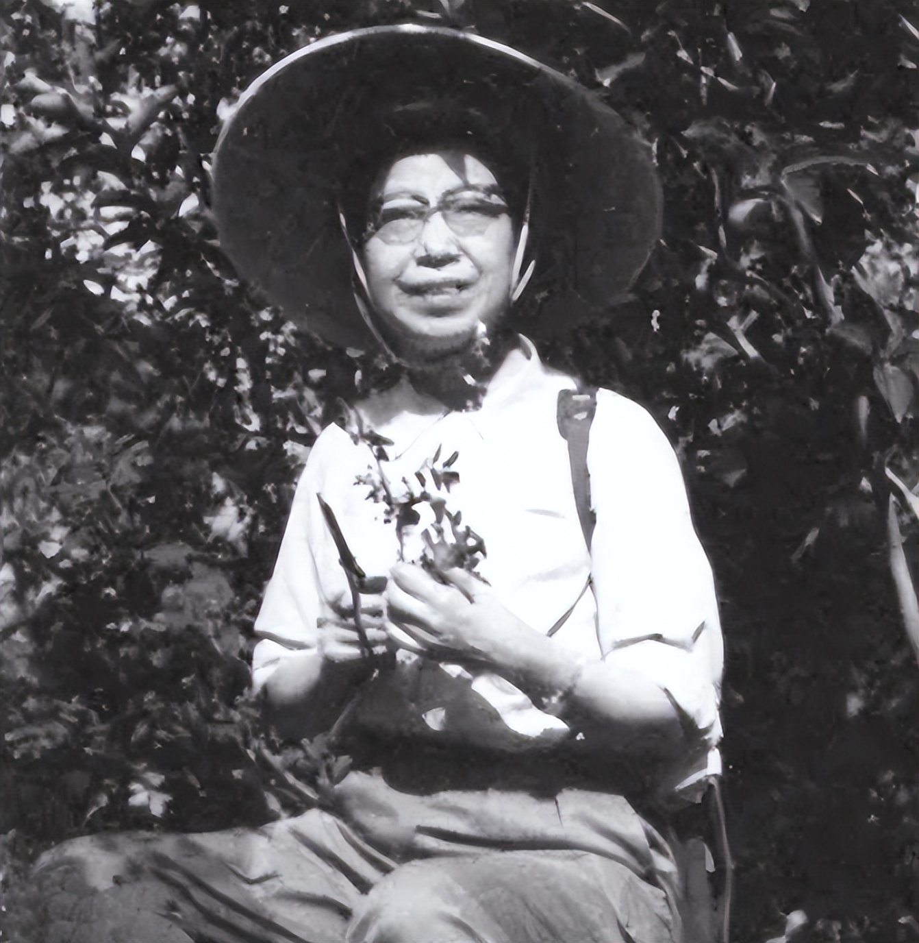 After Li Na gave birth in 1972, Jiang Qing was expressionless: the ...