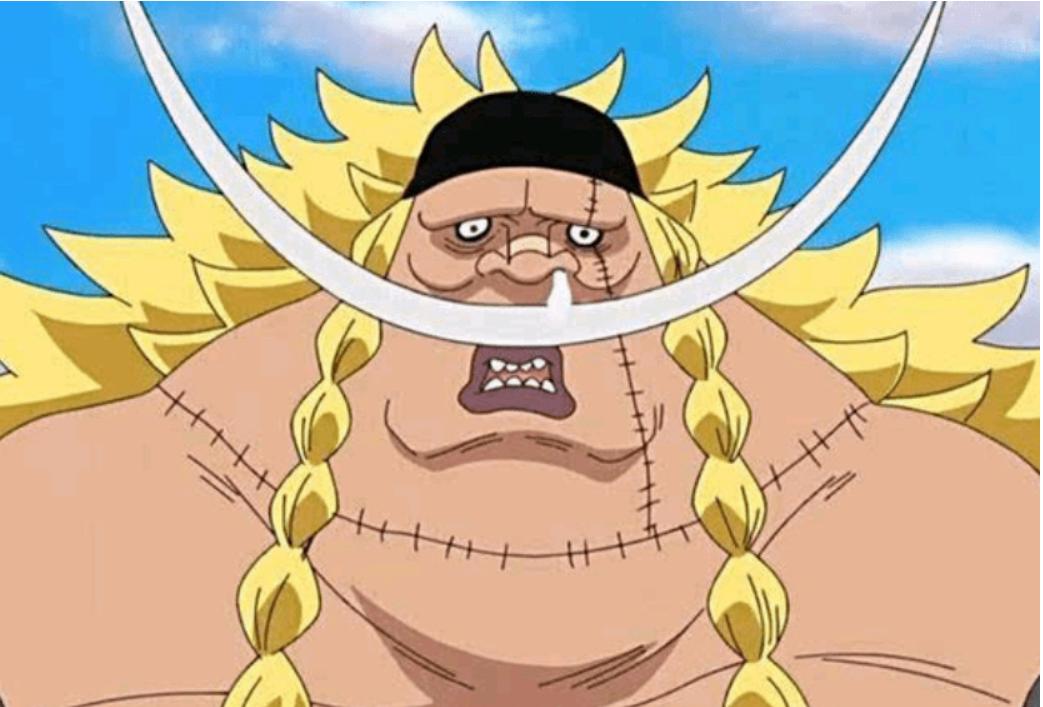 One Piece Chapter 1072: Miss Ba Jin is not a woman with a white beard ...
