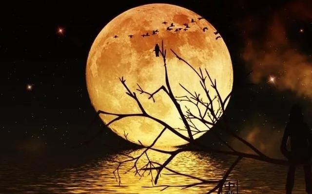 Poems: "Autumn Moon, Reading Autumn, Autumn Rain Sending Cool, Autumn ...