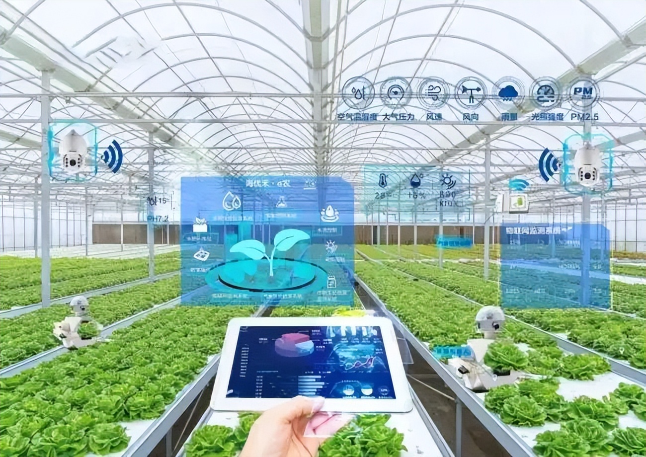 What is high-tech agriculture? - iNEWS