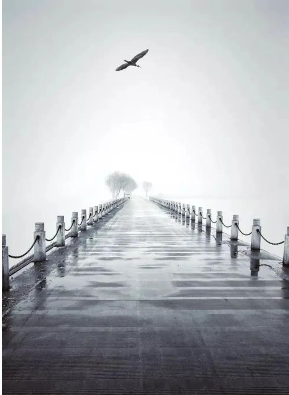 "Tao" 20: Harmony with Light and Dust——How to look at the world is ...