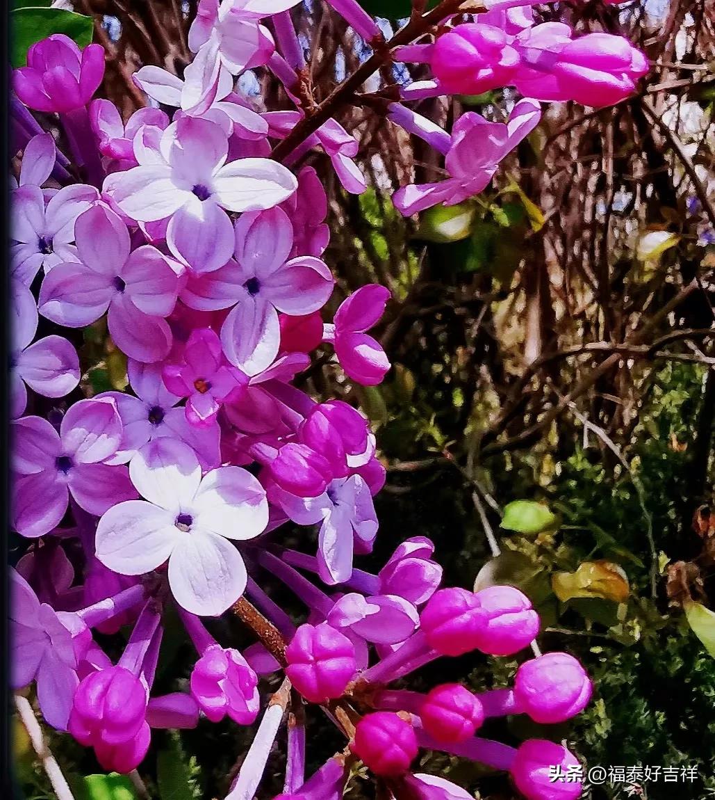 What is the best and most profitable investment - iMedia