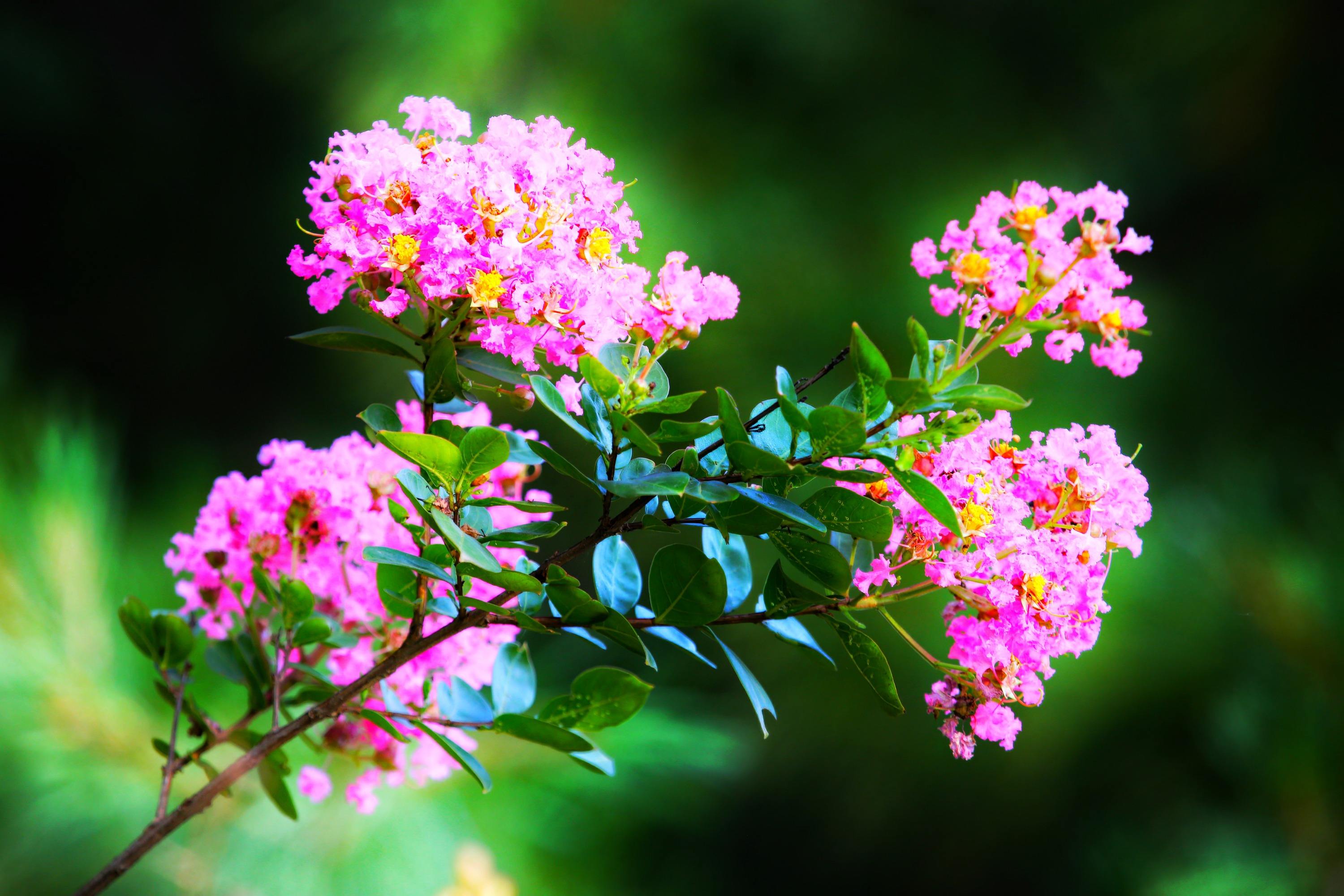 Bai Juyi's Self-Regulation on Overtime Night Shift "Who is the ...