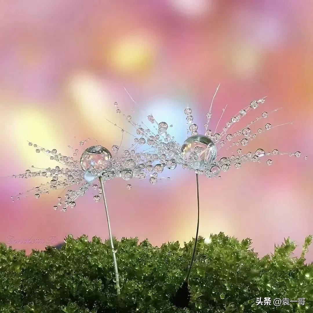 Literary Interests: Time is a priceless treasure that is truly ...