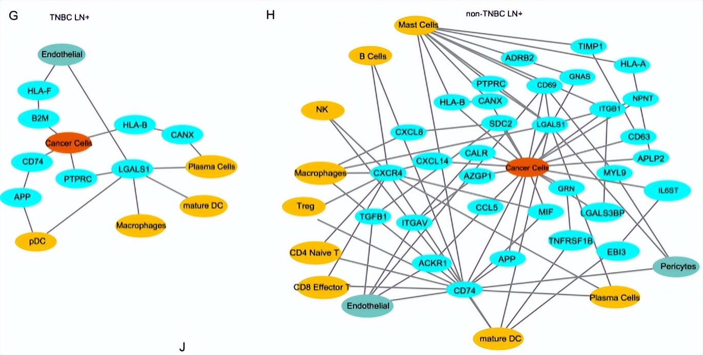 Single-cell sequencing reveals cellular heterogeneity of lymph node ...